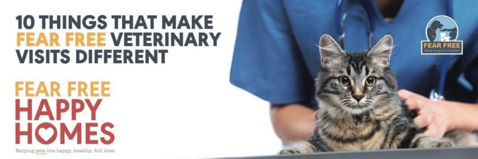 The Fear Free Veterinary Practice - Vernon Hills Animal Hospital