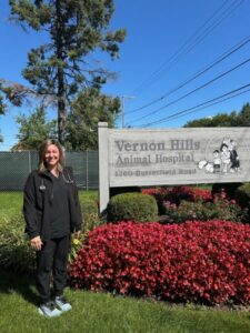 Best Veterinary Hospital in Mundelein, IL - Vernon Hills Animal Hospital